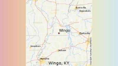 Trees and power lines are down across Wingo, Kentucky | News | WPSD Local 6