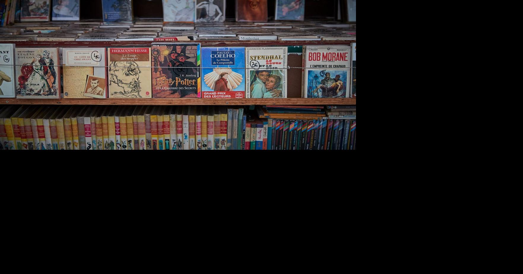How a 475-year-old book market in the center of Paris is surviving in a ...