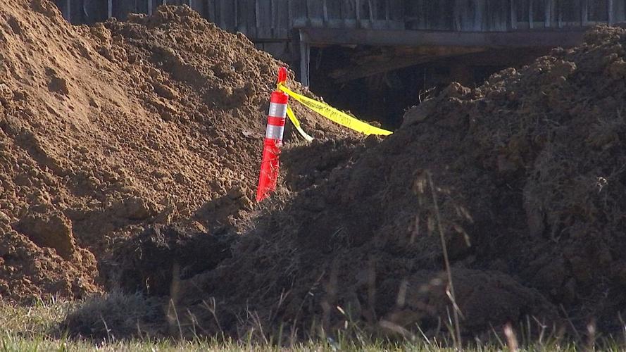 MCSO: Man at center of dog hoarding case charged after remains found ...