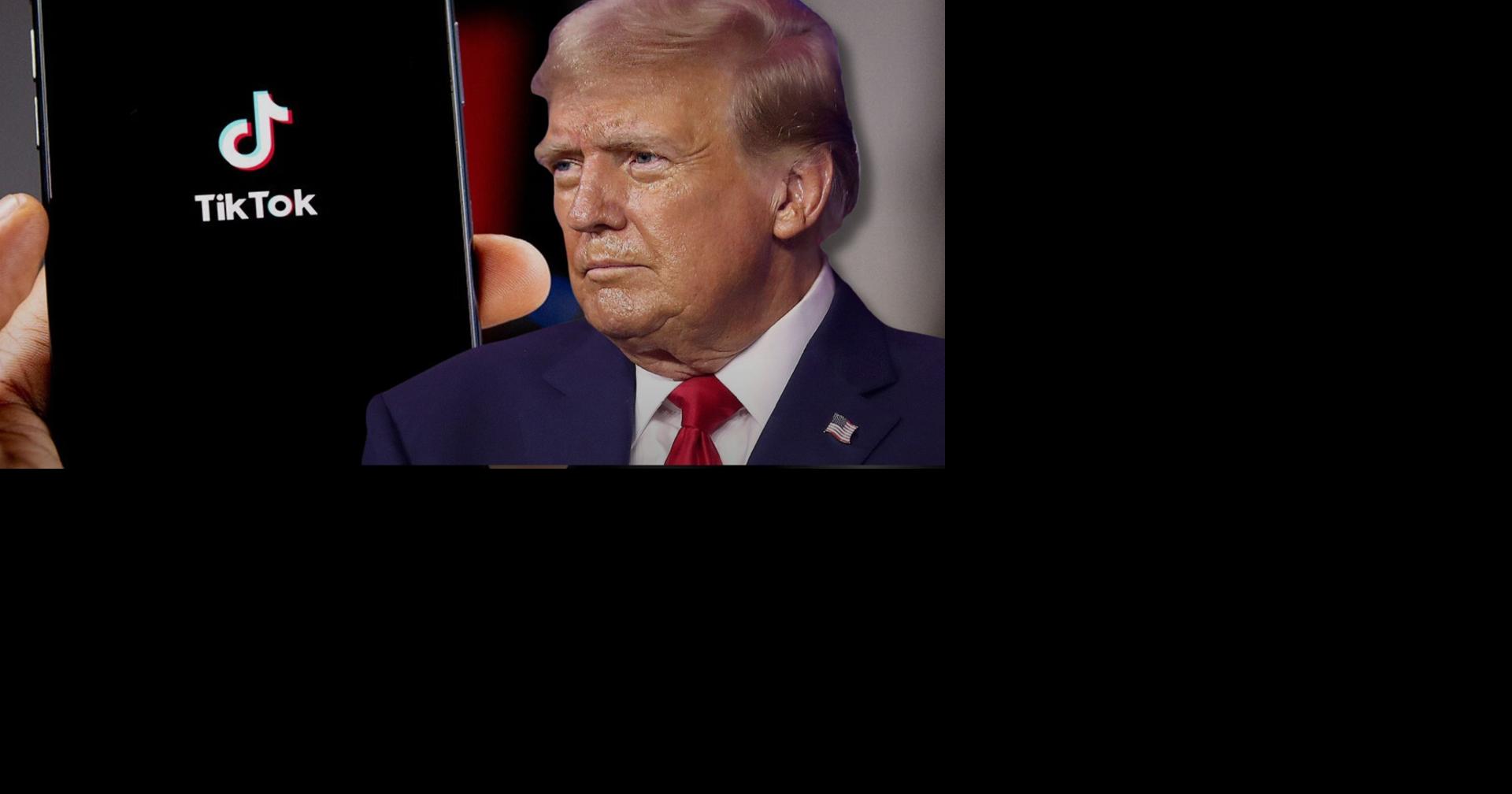 President-elect Donald Trump requests Supreme Court to pause TikTok ban ...