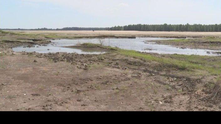 Farmers consider floodplain easements, wetland reserves for flooded ...
