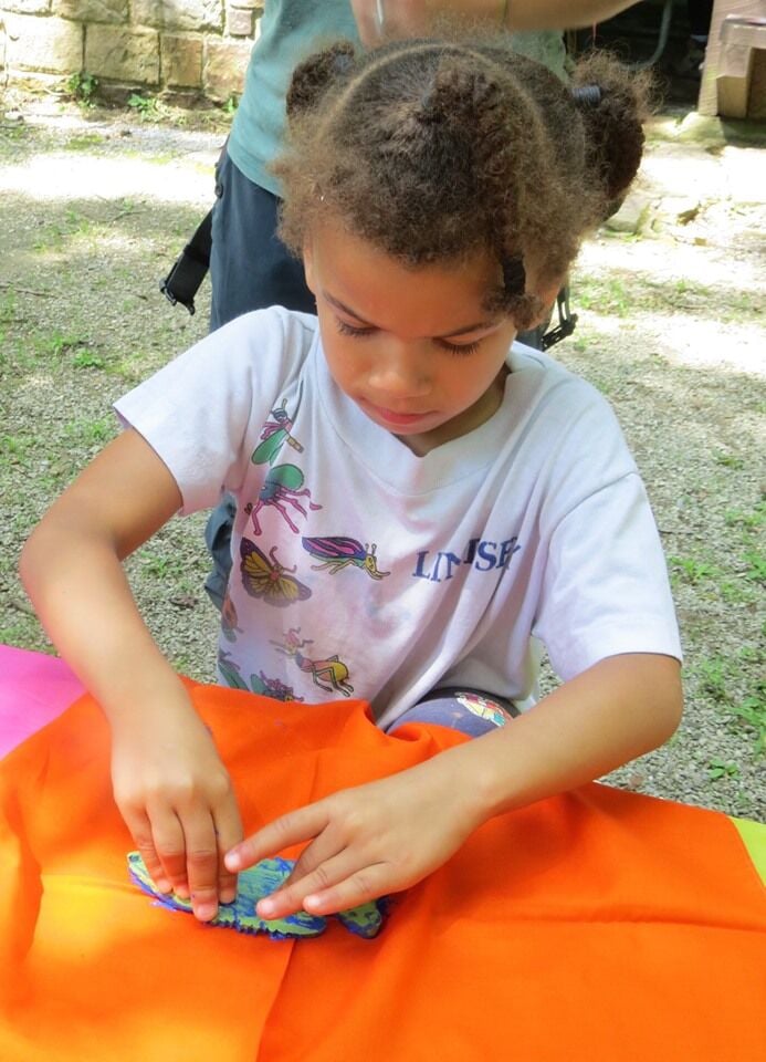 Giant City State Park to hold 'Art in the Park' throughout June | News ...