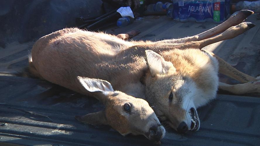 Dream Hunt gives disabled youth, veterans a chance to experience deer ...