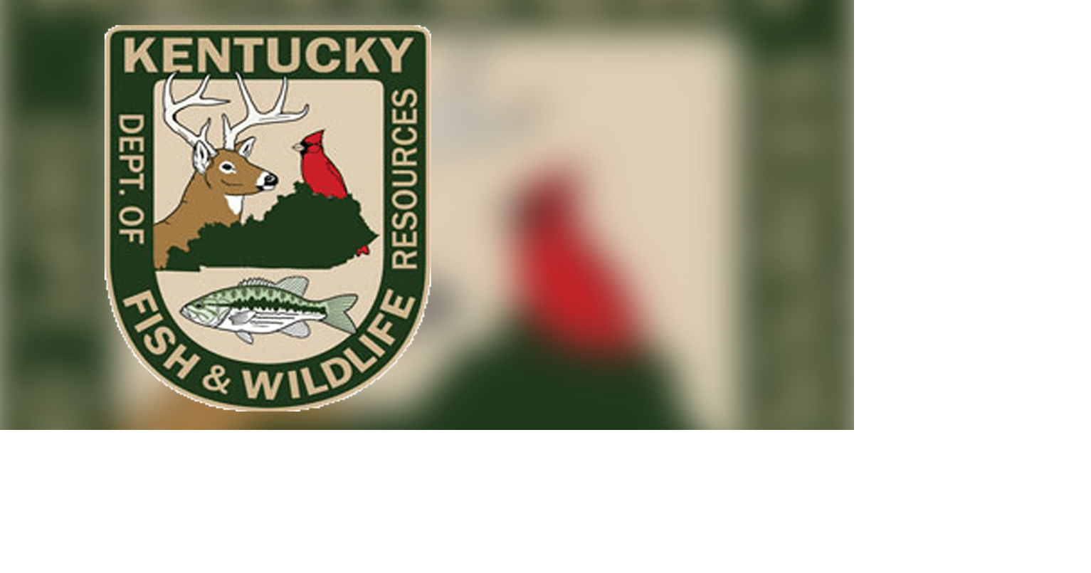 Kentucky Fish and Wildlife to increase incentive for invasive carp ...