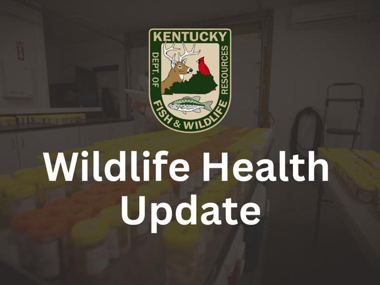 New CWD surveillance zone established after second Kentucky deer tests ...