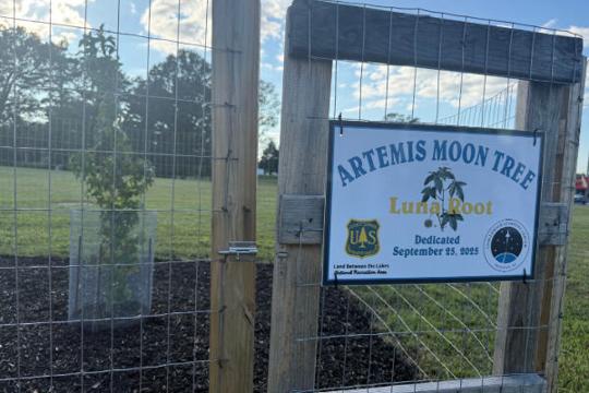 Moon Tree at WKCTC officially named "Luna Root" | News | WPSD Local 6