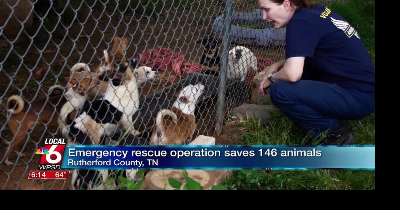 Emergency rescue operation saves 146 animals | Ott | WPSD Local 6