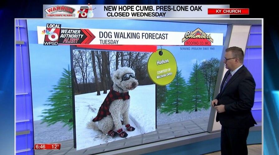Dog walking forecast 1.27.26 | News | WPSD Local 6
