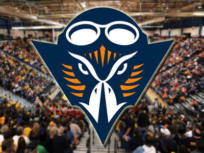 Radakovic's 18 help UT Martin take down Western Illinois 67-60 | Sports ...