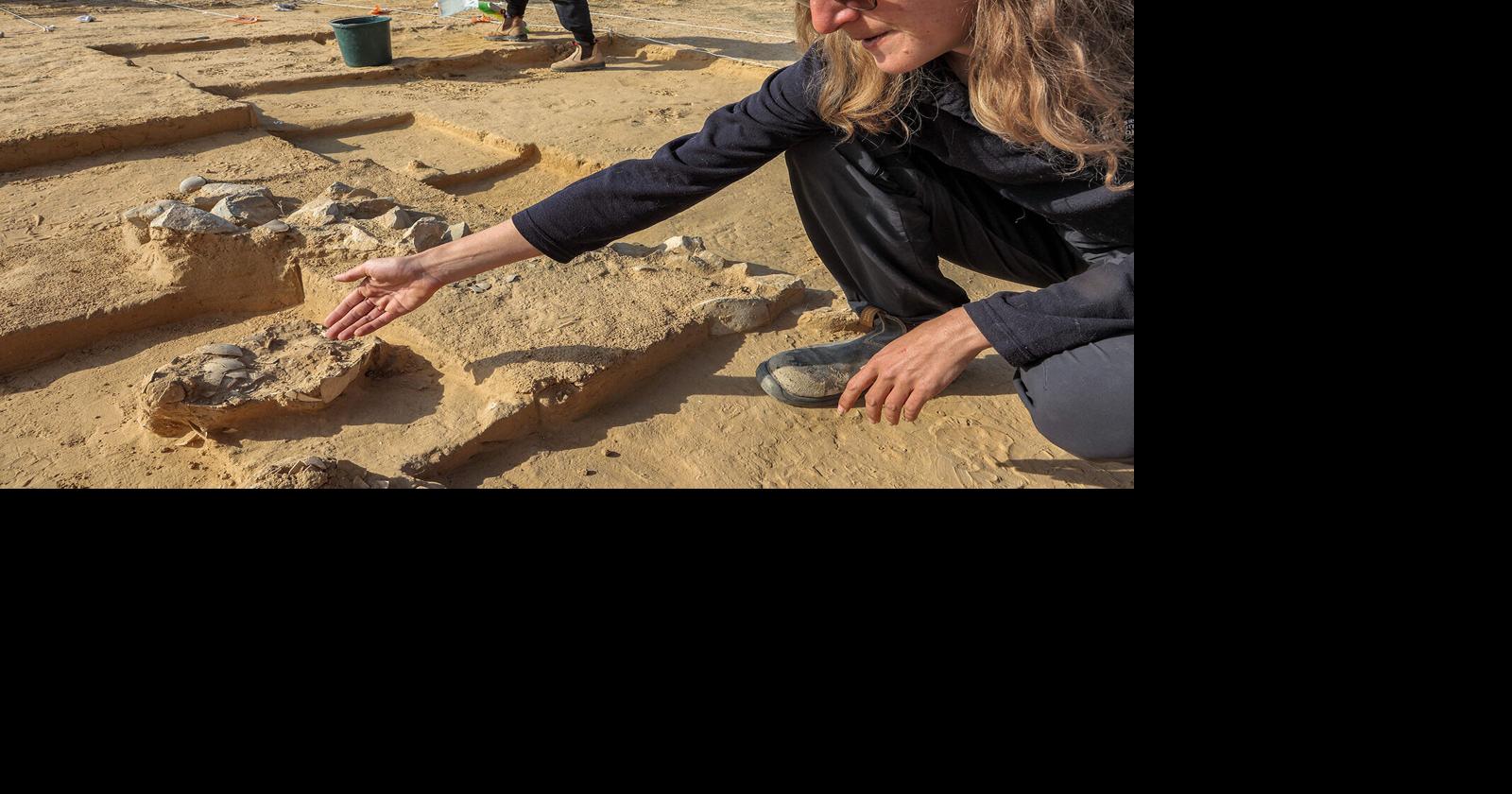 Ostrich eggs up to 7,500 years old found next to ancient fire pit in ...