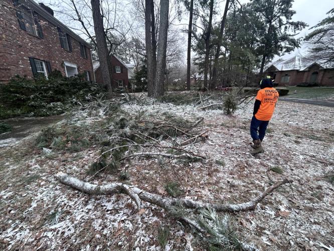 Ice storm causes widespread tree damage, local tree removal businesses ...
