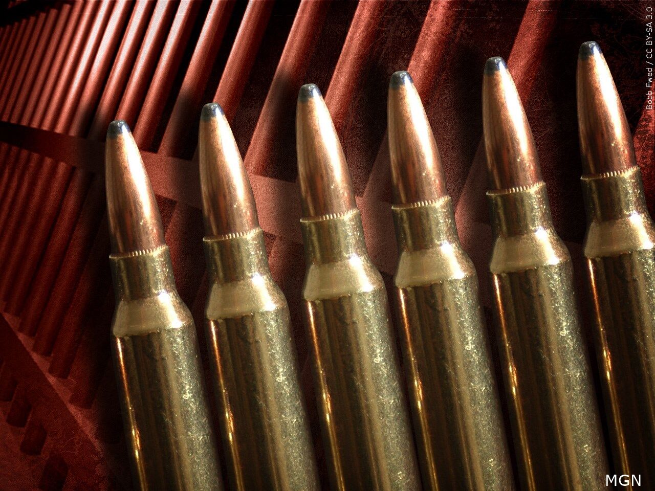 Condemned South Carolina killer chooses to be executed by firing squad ...