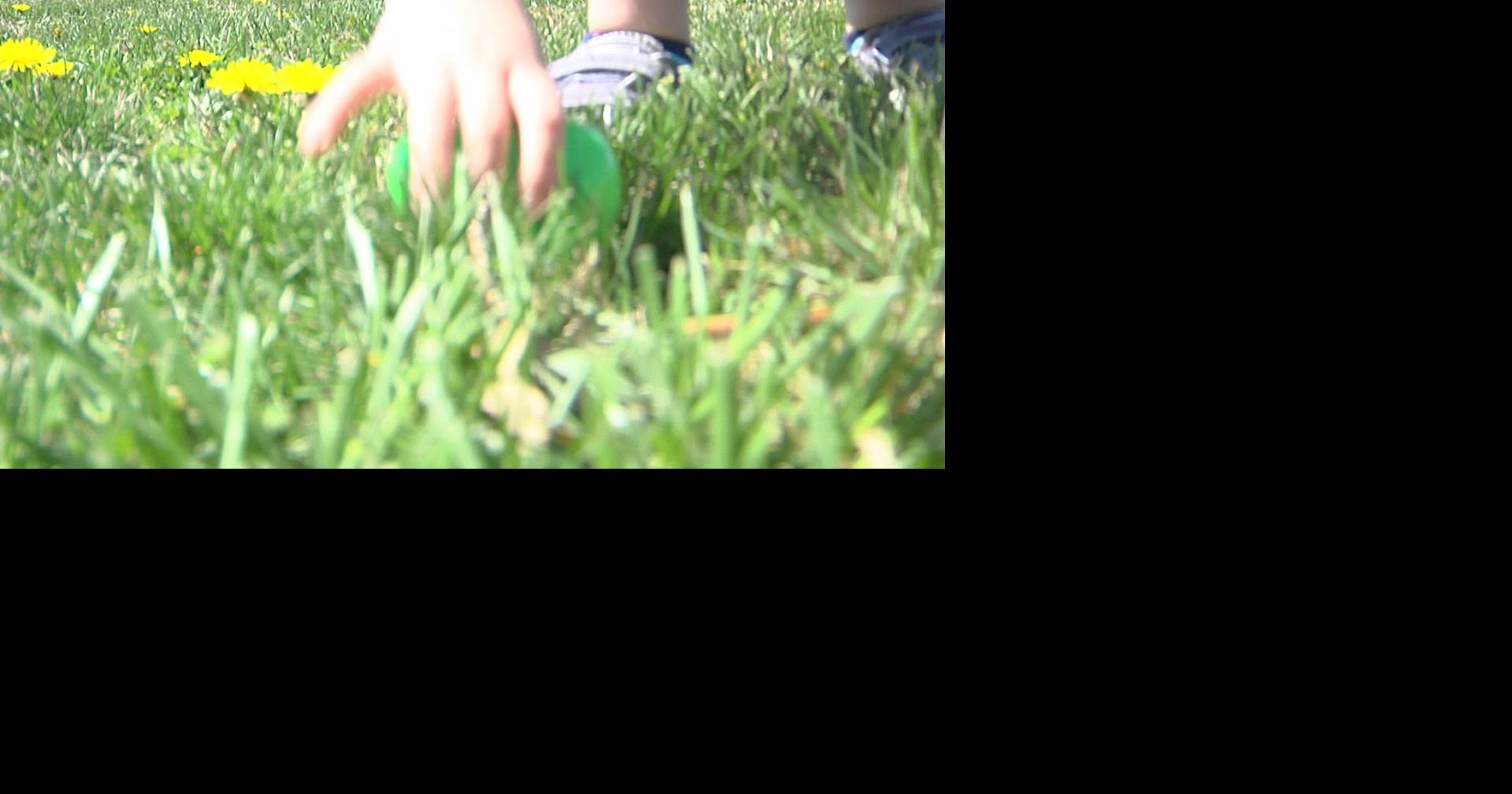 Organizers of Easter egg hunt encourage people to experience healing ...