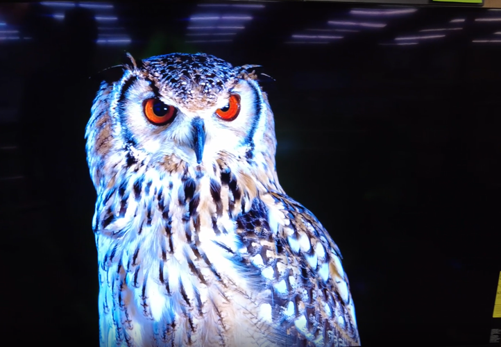 What the Tech: Decoding TV terminology | News | WPSD Local 6