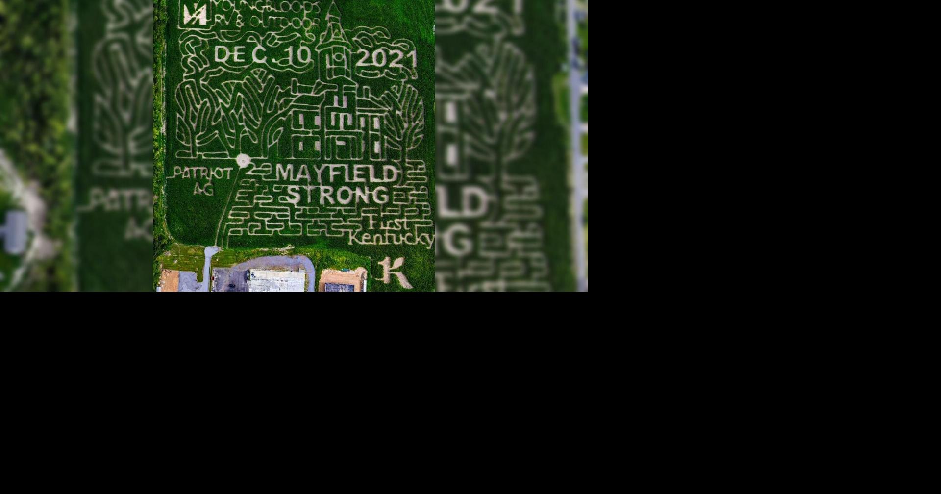 Kentucky's largest corn maze rebuilds 'Mayfield Strong' after December ...