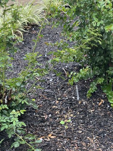 Abby Dickey - Marble sized hail in Anna, Illinois.jpg | Weather Window ...