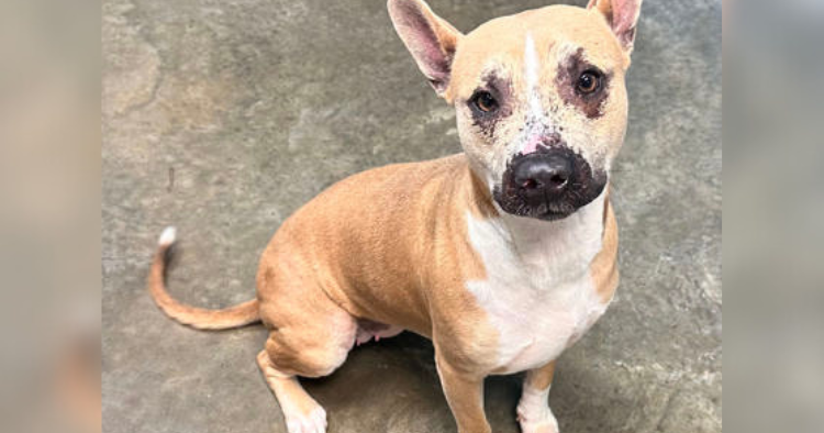 Clara: The shy but strong lady looking for a caring family | News ...