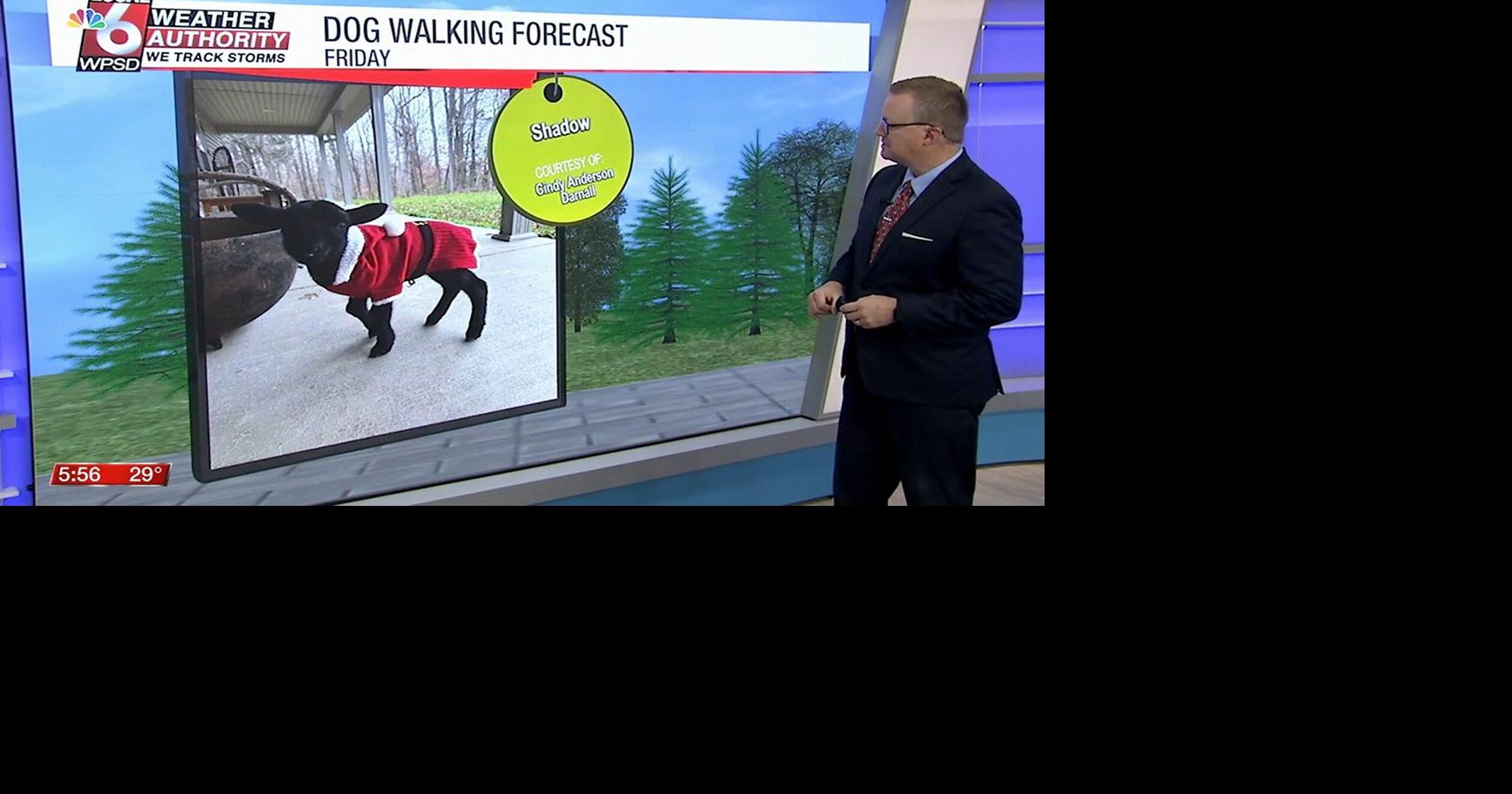 Dog walking forecast 12.19.25 | Weather | WPSD Local 6