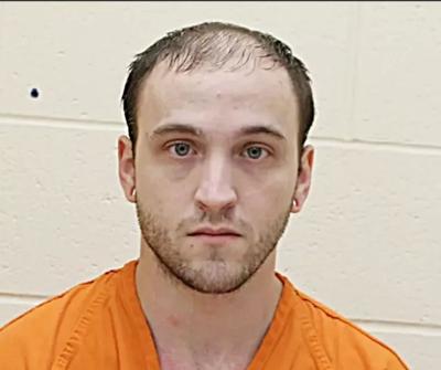 Benton, Ill., man pleads guilty to CSAM charges, sex acts with dog ...