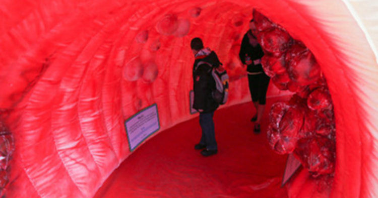 Mercy Health to host colorectal cancer event with walkthrough colon ...