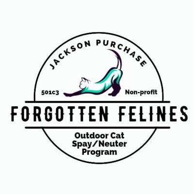 Forgotten Felines asking for donations to help rescued Meows of Hope ...