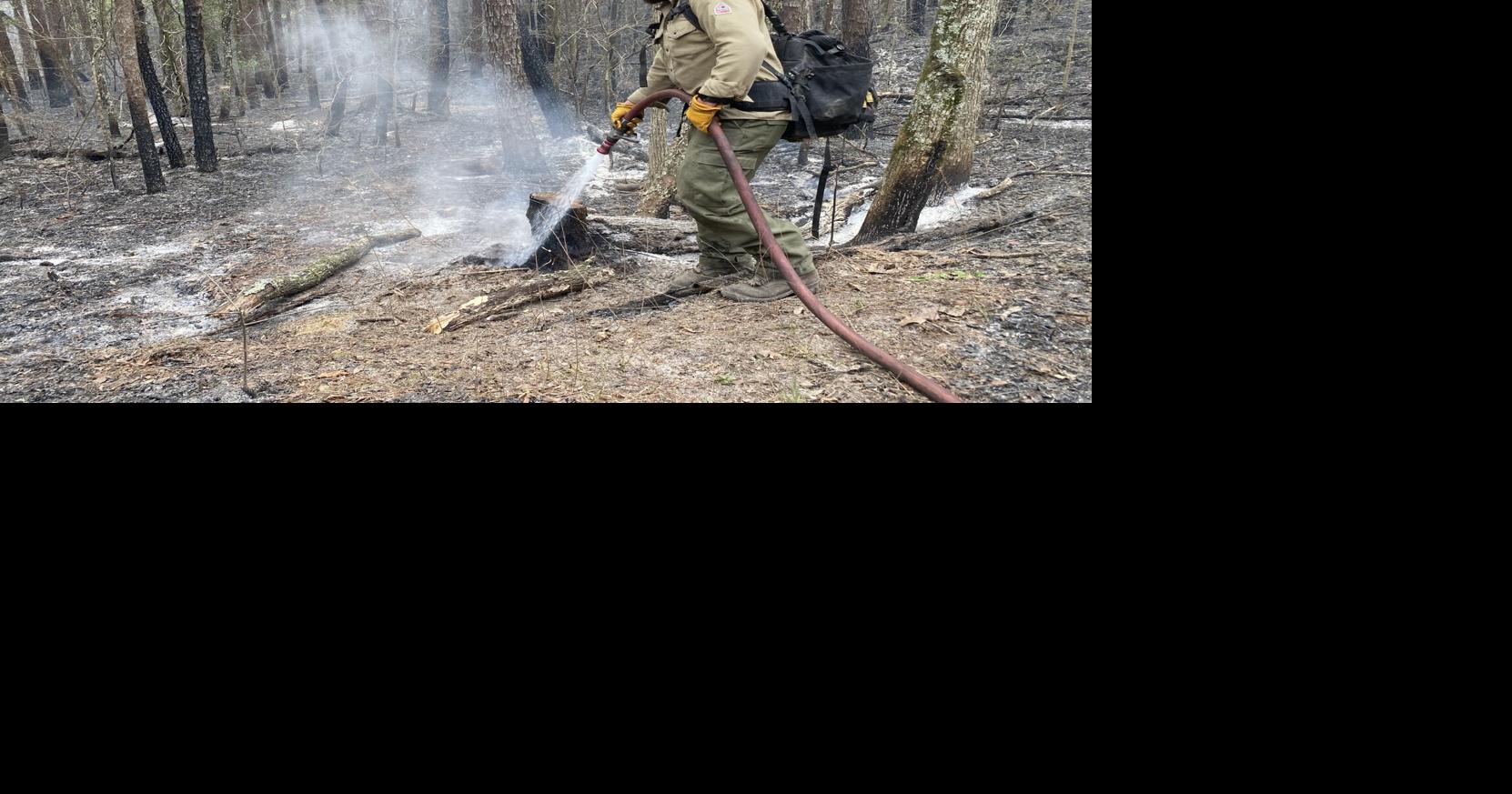 Fire crews contain, work to extinguish LBL wildfire | News | WPSD Local 6