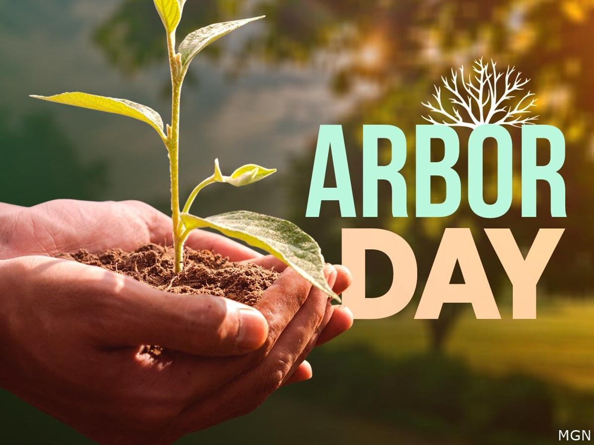 Marshall County Refuse District hosts arbor day clean up event | News ...