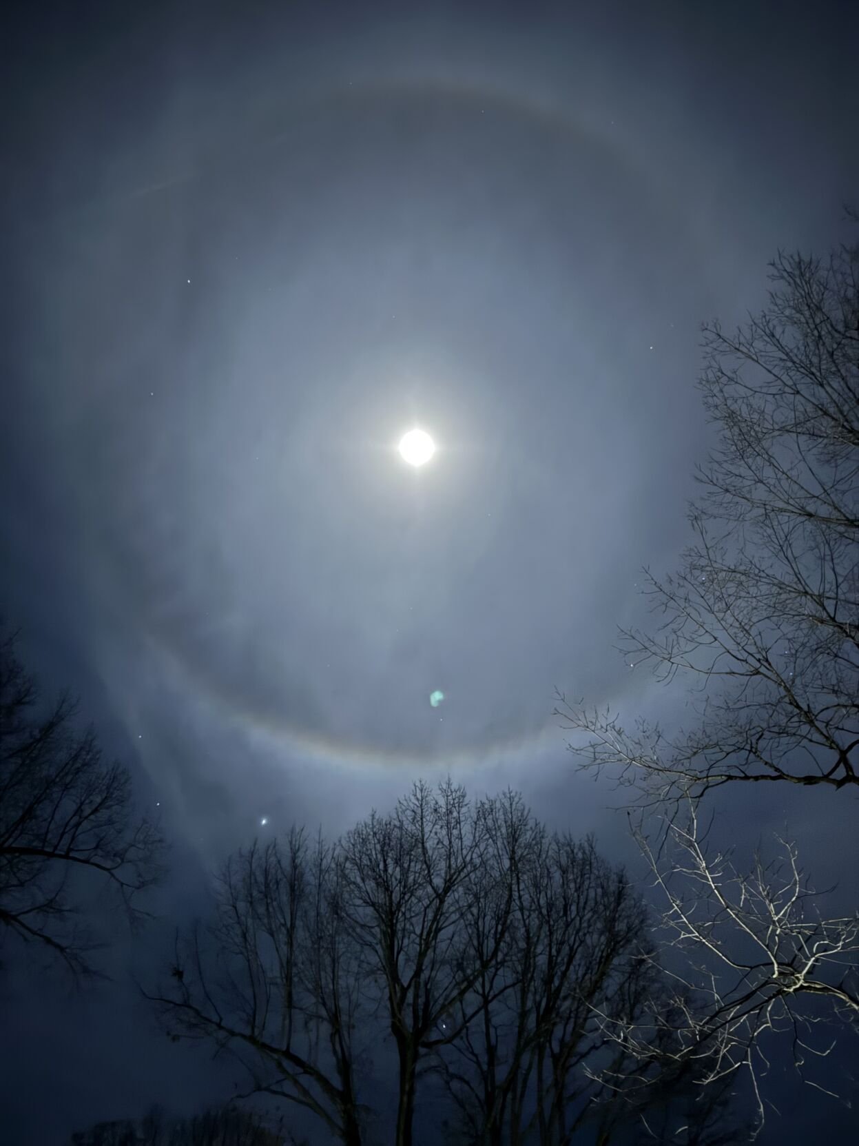 Your photos — Wolf Moon 2026! | News | WPSD Local 6