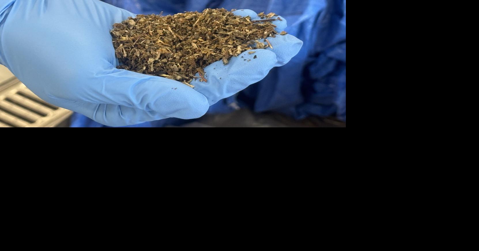 McCracken sheriff warns of synthetic drug effects after major bust ...