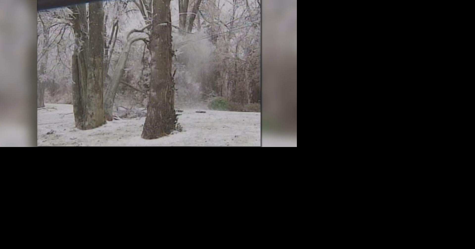 Locals looking back on 2009 Ice Storm and its impacts | News | WPSD Local 6