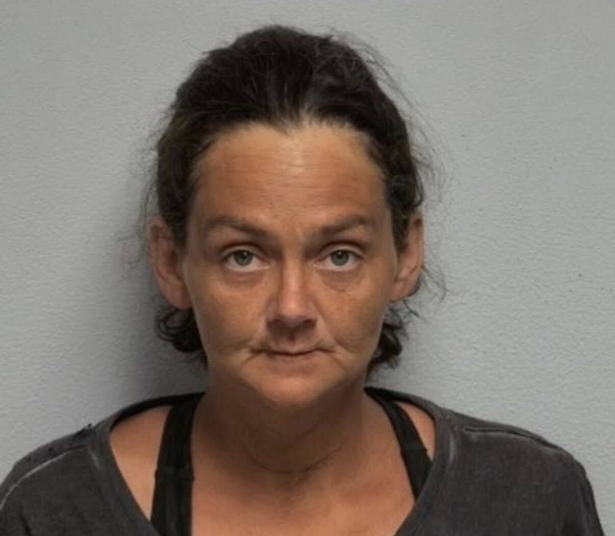 Grand Rivers woman arrested on nine counts of animal abuse charges ...