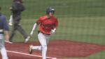 UT Martin baseball triumphs 11-6 over Little Rock in series finale ...