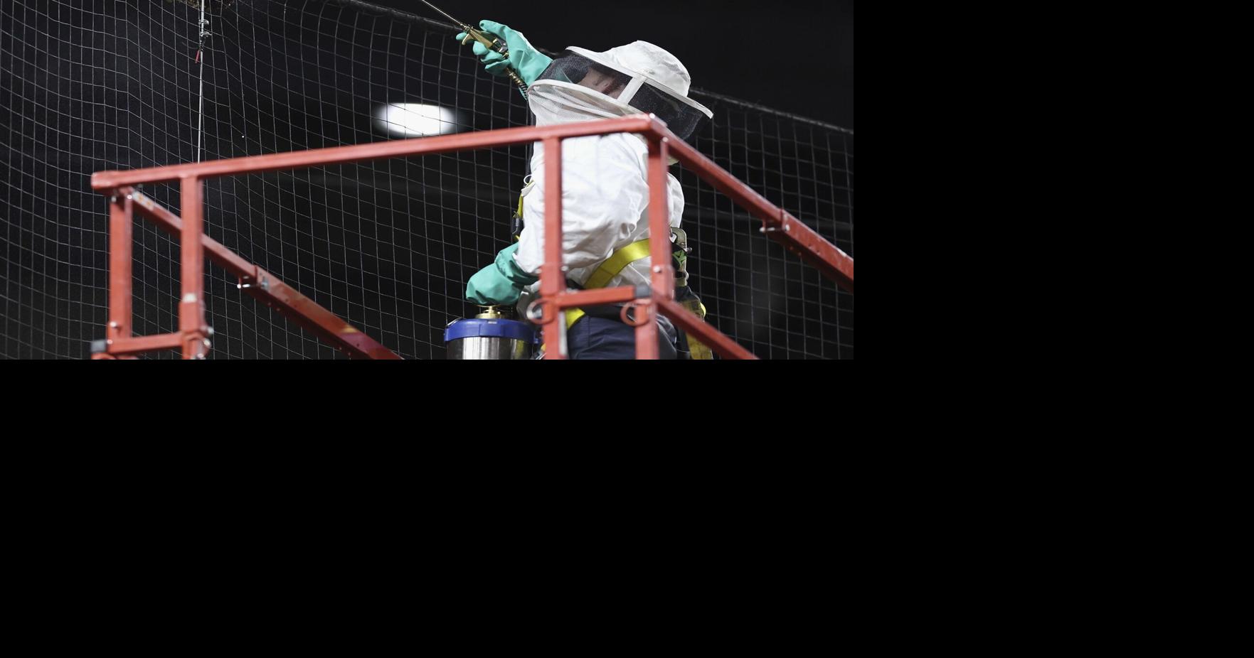 Beekeeper Matt Hilton revels in ‘surreal’ experience after his MLB ...