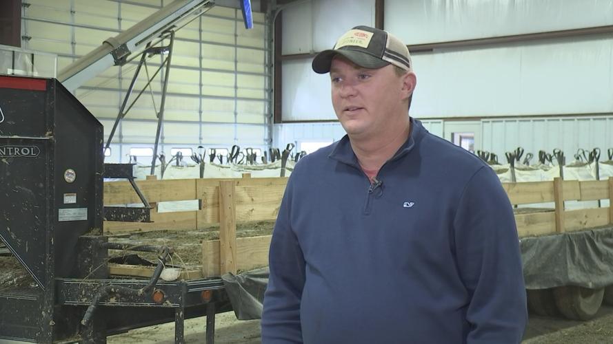 Betting the family farm on hemp in west Kentucky | News | WPSD Local 6