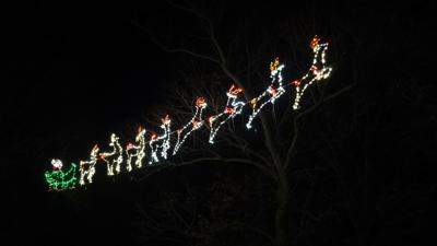 Christmas in the Park raises over $45K in 2025, celebrates $1M in total ...