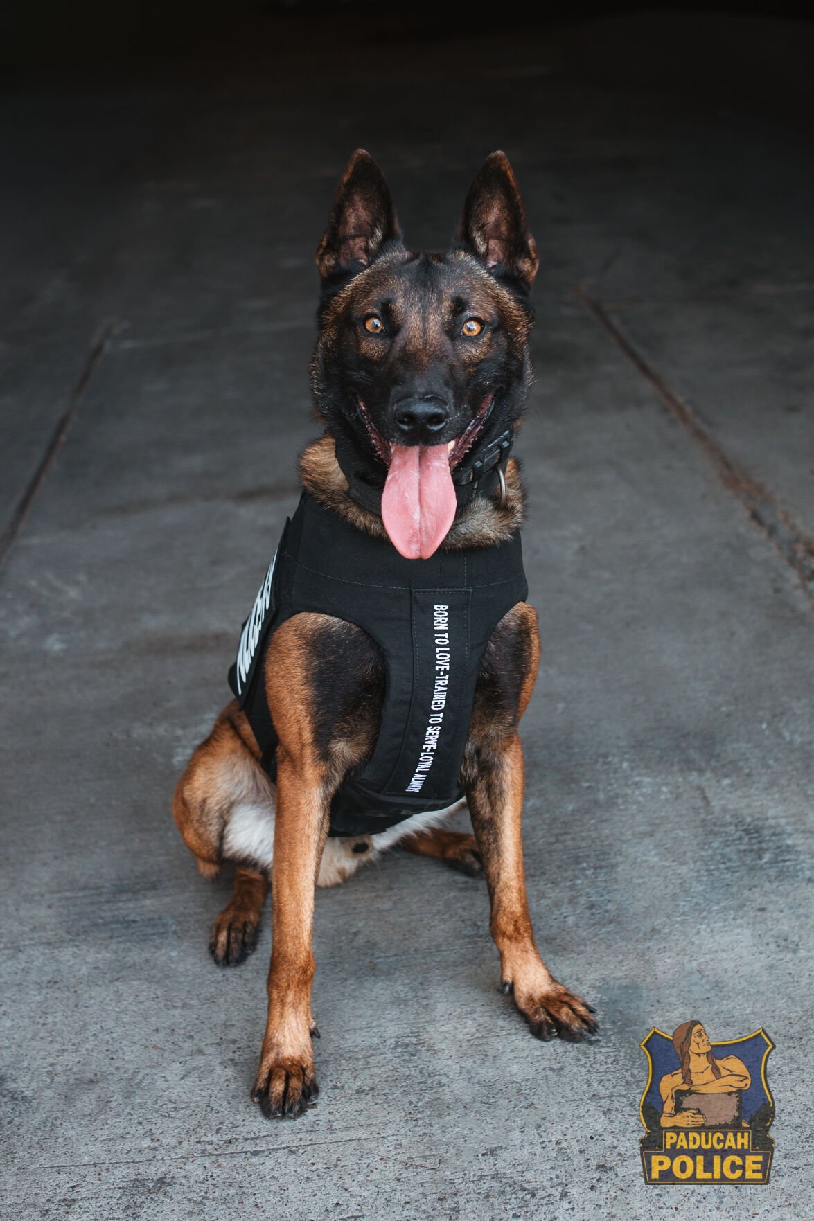Paducah Police Department K9 Karo receives body armor donation | News ...