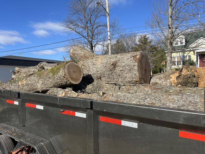Strong winds send oak tree into historic home | News | WPSD Local 6