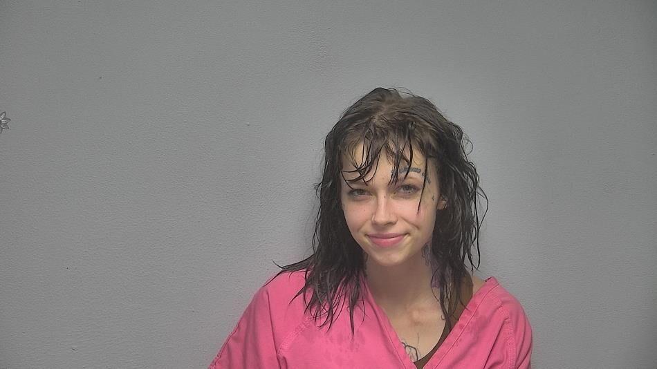 Sheriff: 14 people arrested in organized crime and drug trafficking ...