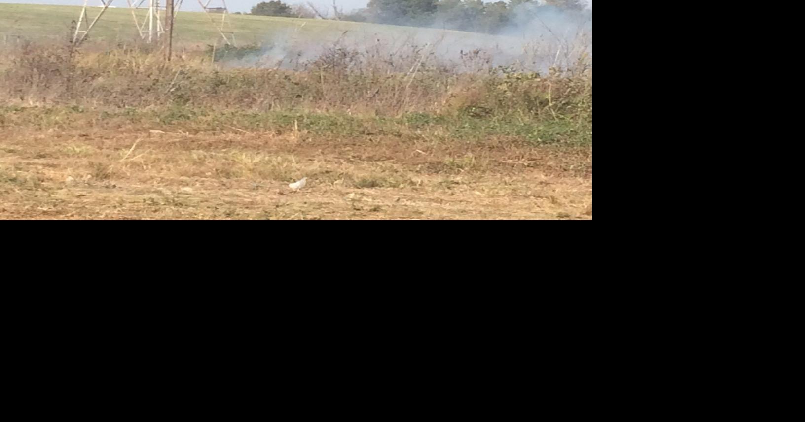 Burn bans in effect in multiple west Kentucky counties | News | WPSD ...