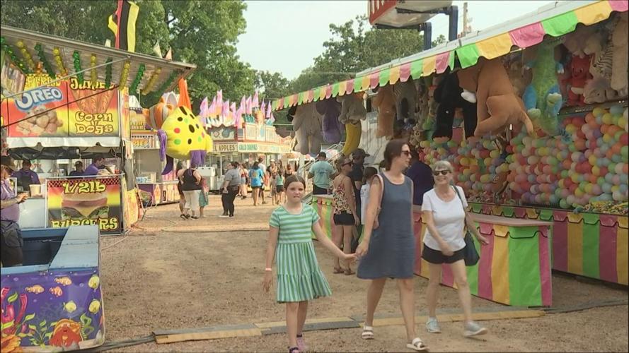 Local charity pleads for say in Carson Park renovations | Meeting ...