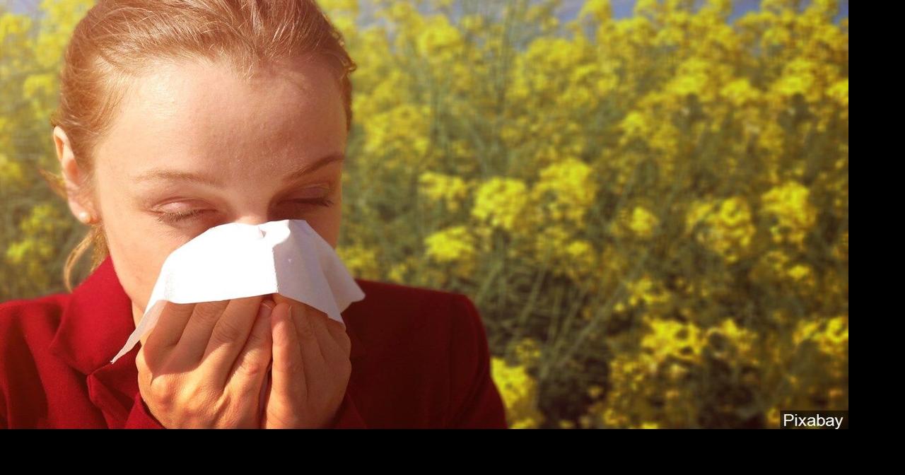 Masks may reduce seasonal allergy symptoms | News | wqow.com