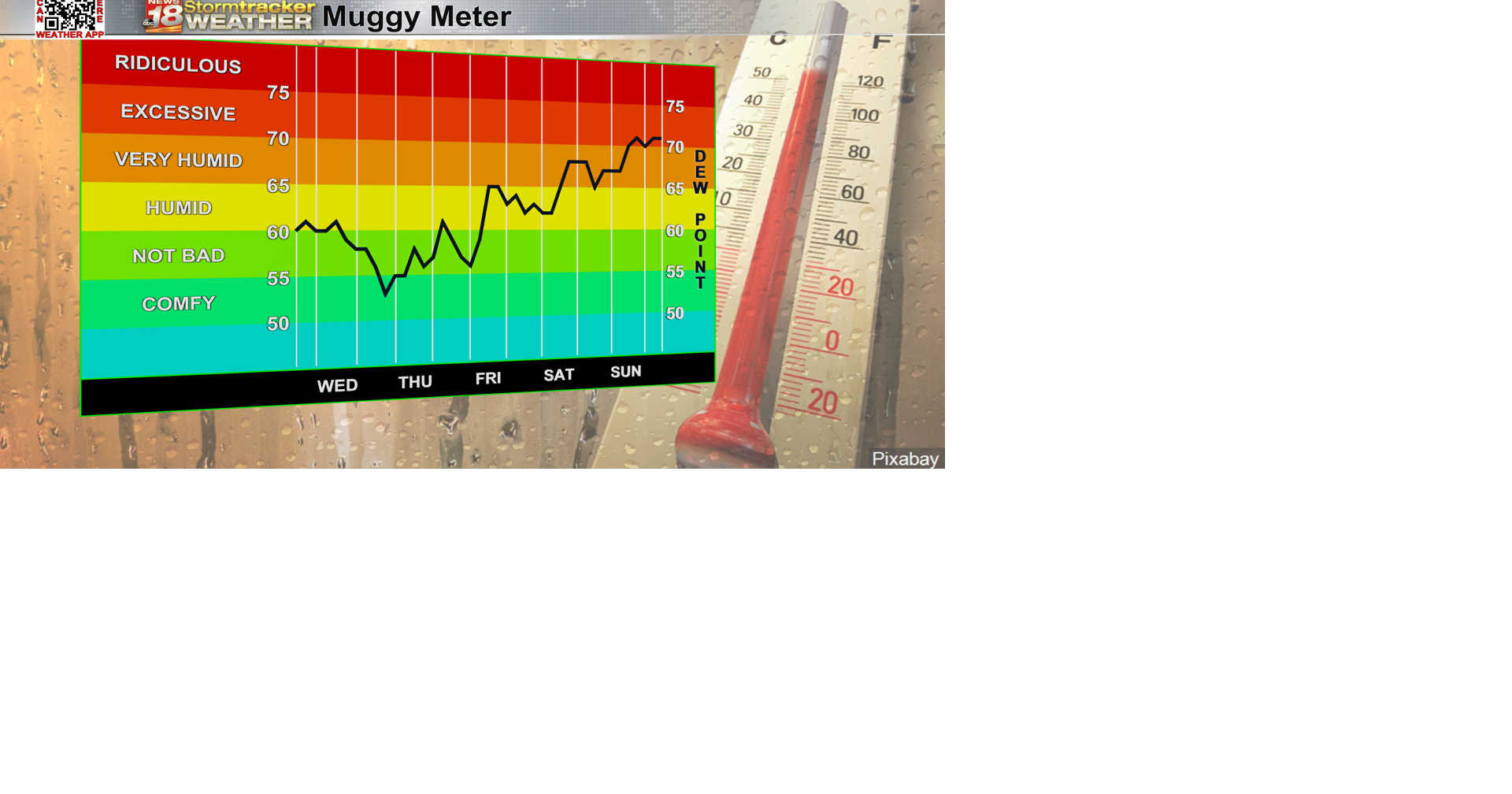 A couple of sunny days with comfortable humidity before heat ramps up ...