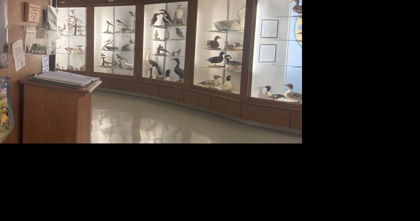 You Ask, We Answer: What will happen to the bird museum in Phillips ...