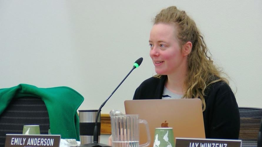 Eau Claire city councilor Emily Anderson stepping down | Politics-local ...