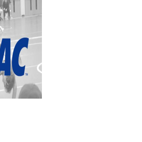 UWEC's Stricker, Melton earn individual WIAC wrestling titles | Sports ...