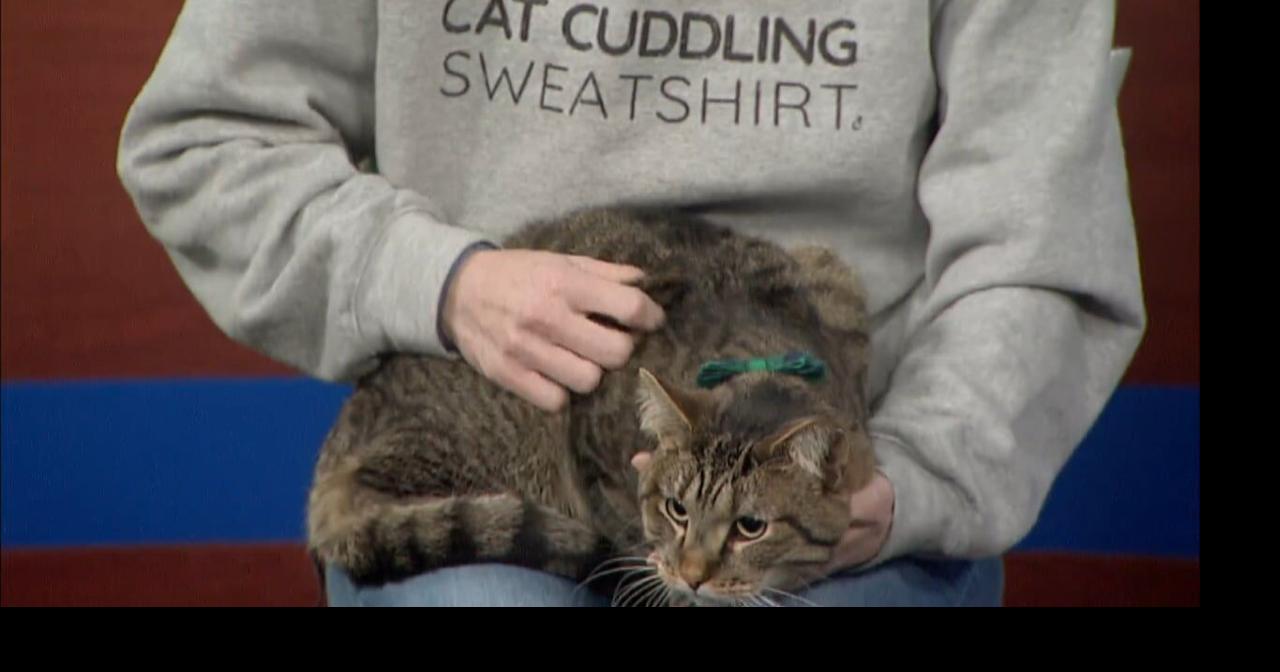 Friday Find - Moses Arc Rescue and Sanctuary | Wake Up Wisconsin | wqow.com
