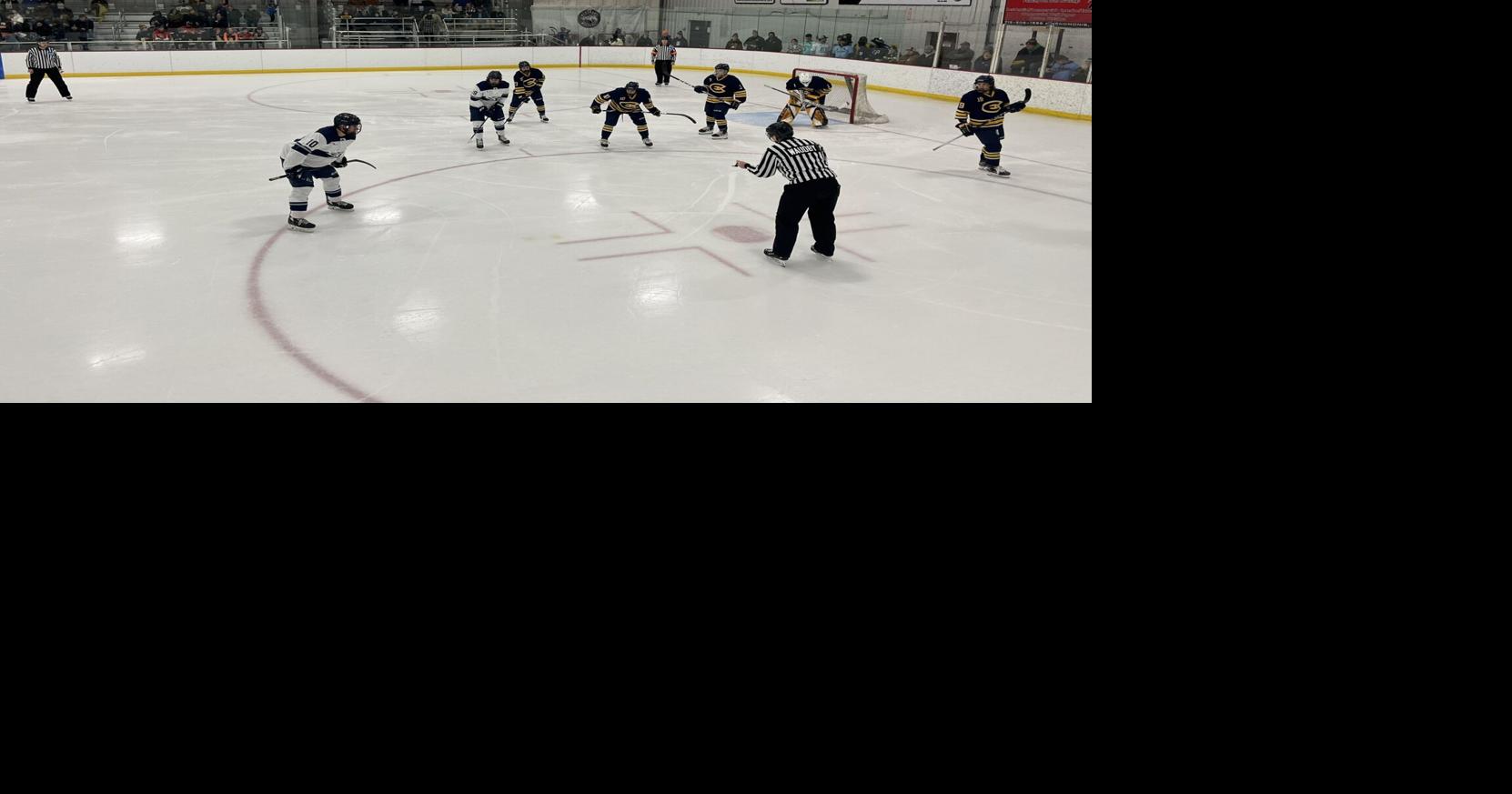 UWEC hockey bounces back to best Blue Devils | Sports | wqow.com
