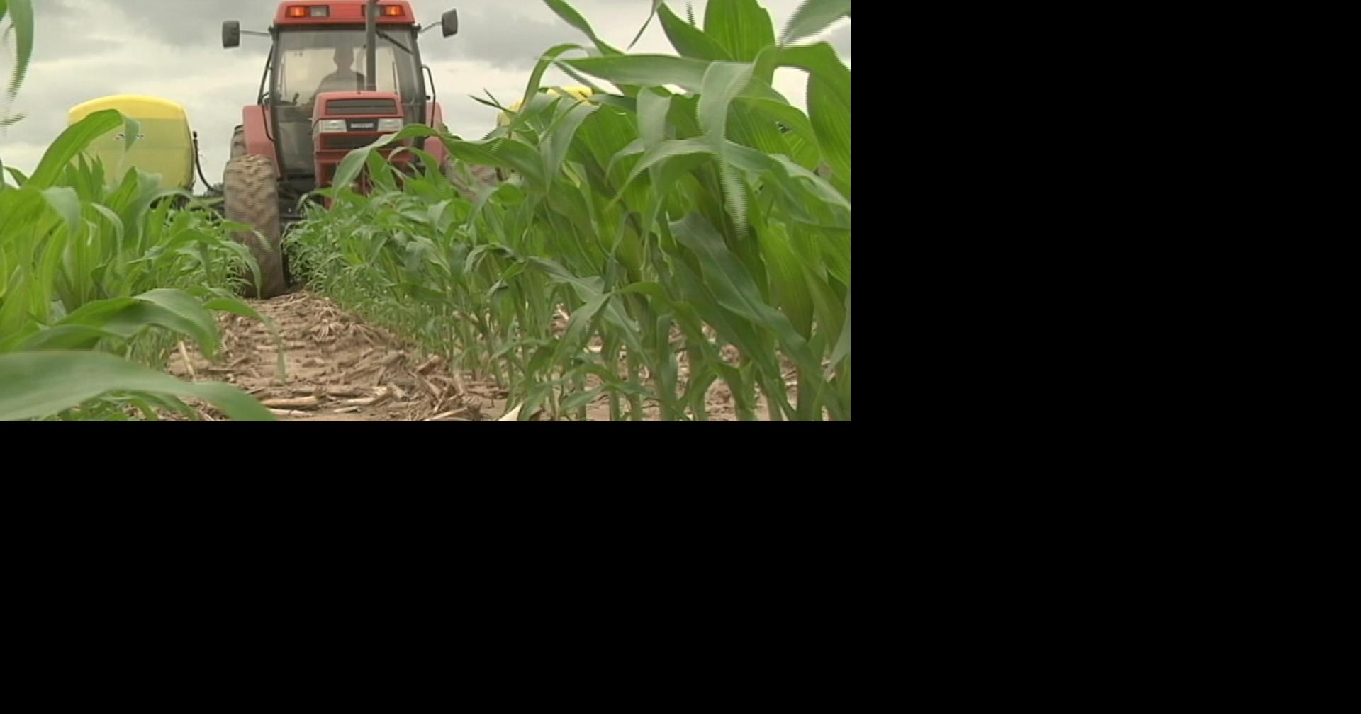 Rep. Ron Kind looks to add amendments to Farm Bill | News | wqow.com