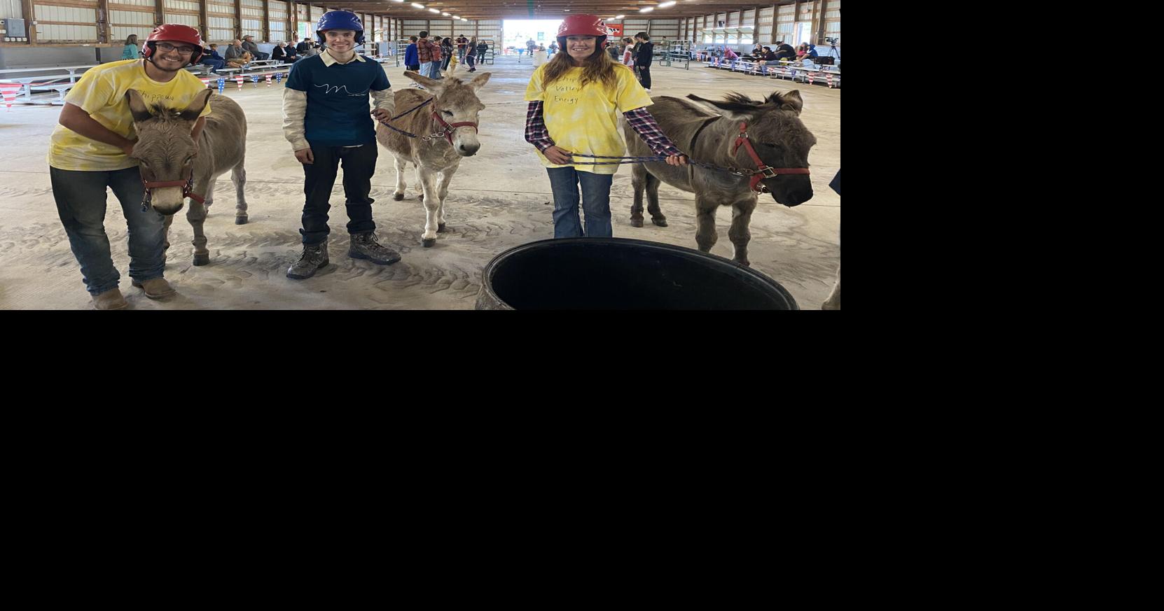 "Celebrity" Donkey Basketball raises funds for local children | News ...