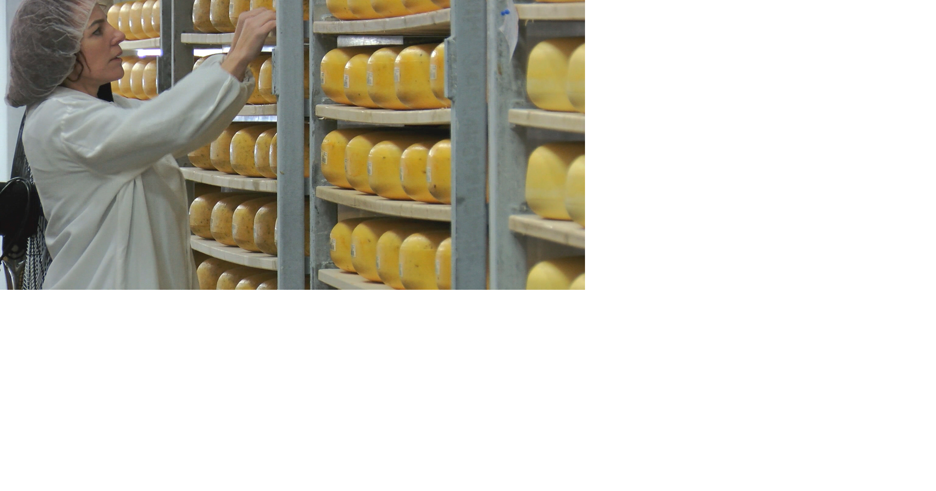 Thorp's Marieke Gouda owner now a Wisconsin Master Cheese Maker | News ...